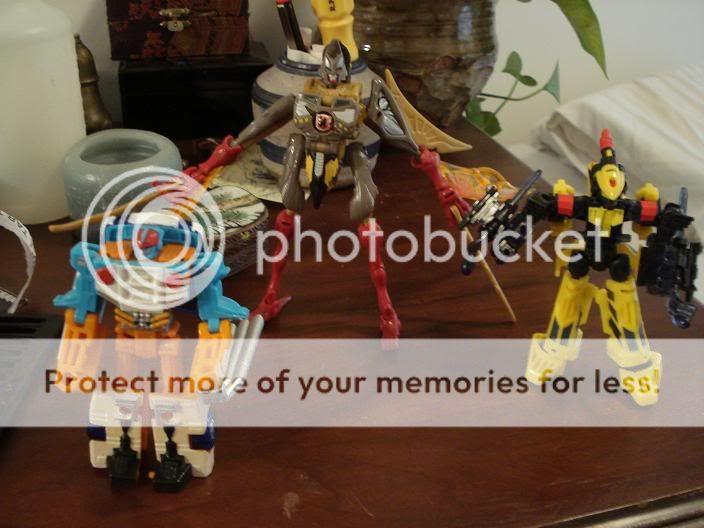 Help me identify these: | TFW2005 - The 2005 Boards