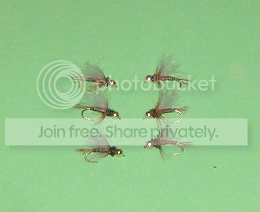 Bead Head Soft Hackle CDC Pheasant Tail Emerger | Michigan Sportsman Forum