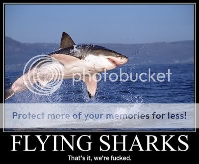 FARK.com: (3565898) Paddleboarders return to water day after fatal ...