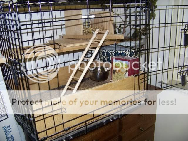 Does anyone have any pics of a dog crate converted into a brooder ...