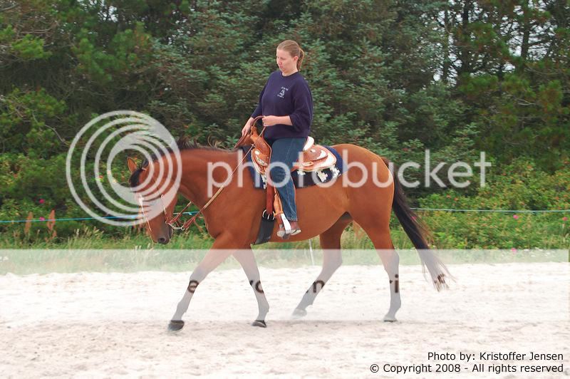 vis billeder af perfekt tilpassede sadle - Opslag, billeder og video ...